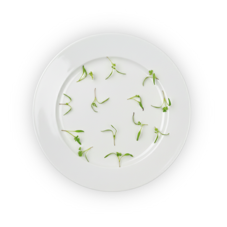 Buy Micro Chive in New York | Flavour Fields