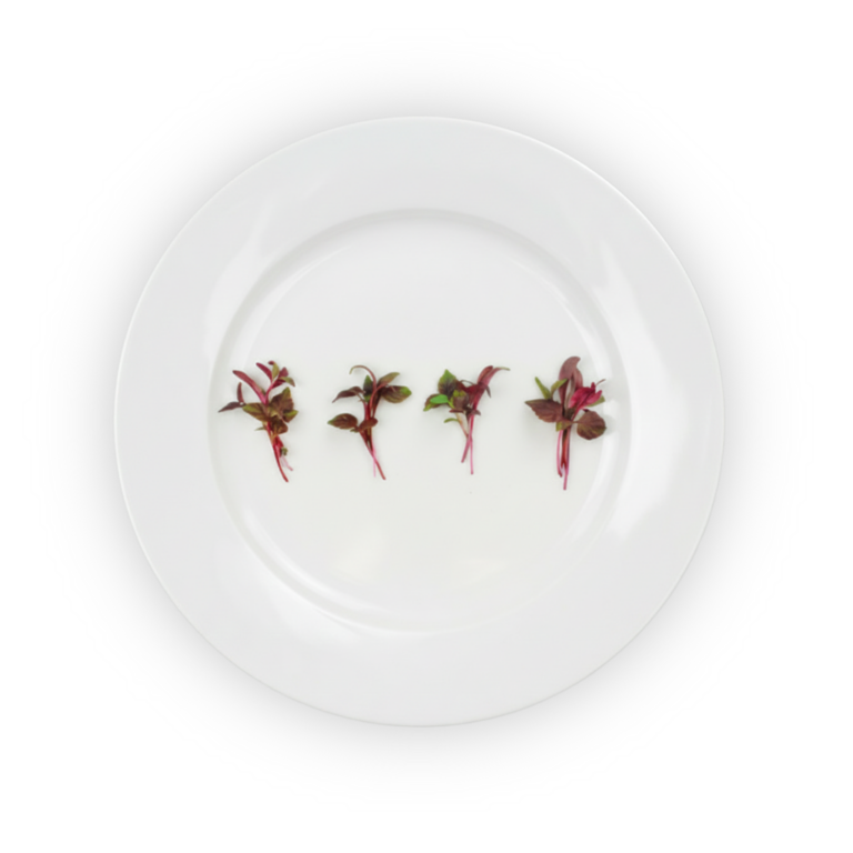 Micro Ruby Mix - Flavour Fields